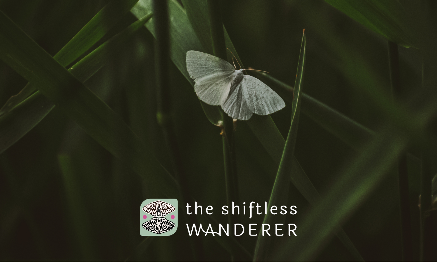 A New Look for a Growing Vision: Introducing Our Refreshed Brand — The Shiftless Wanderer