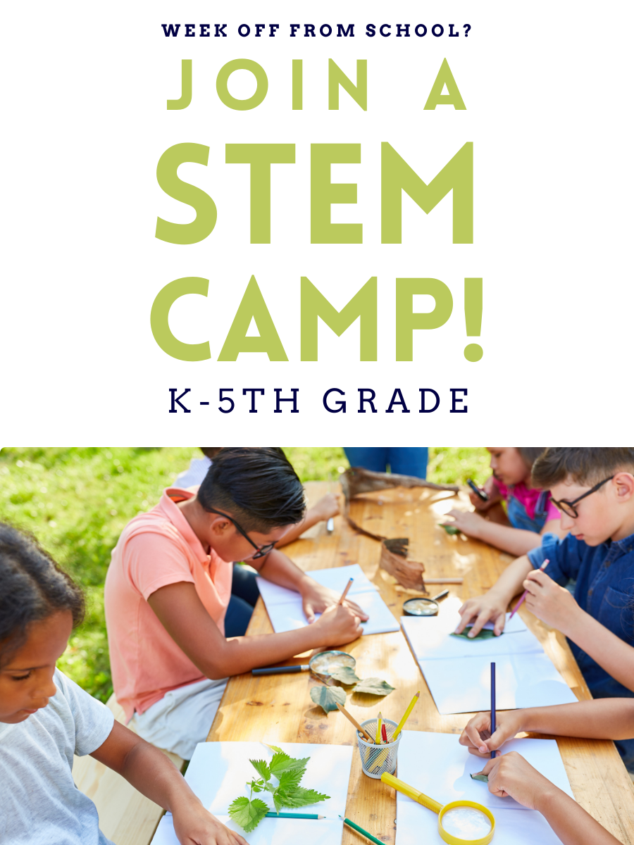 School's Out, STEM Adventure Day — Cascade Enrichment Tutoring