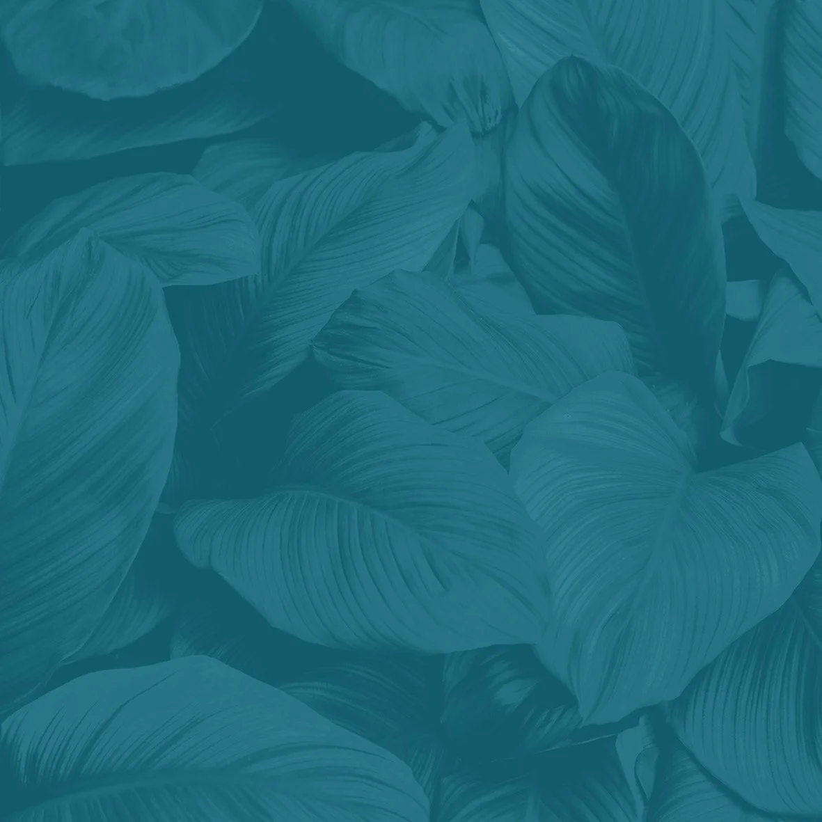 Renaker | Luxury Apartments in Manchester City Centre