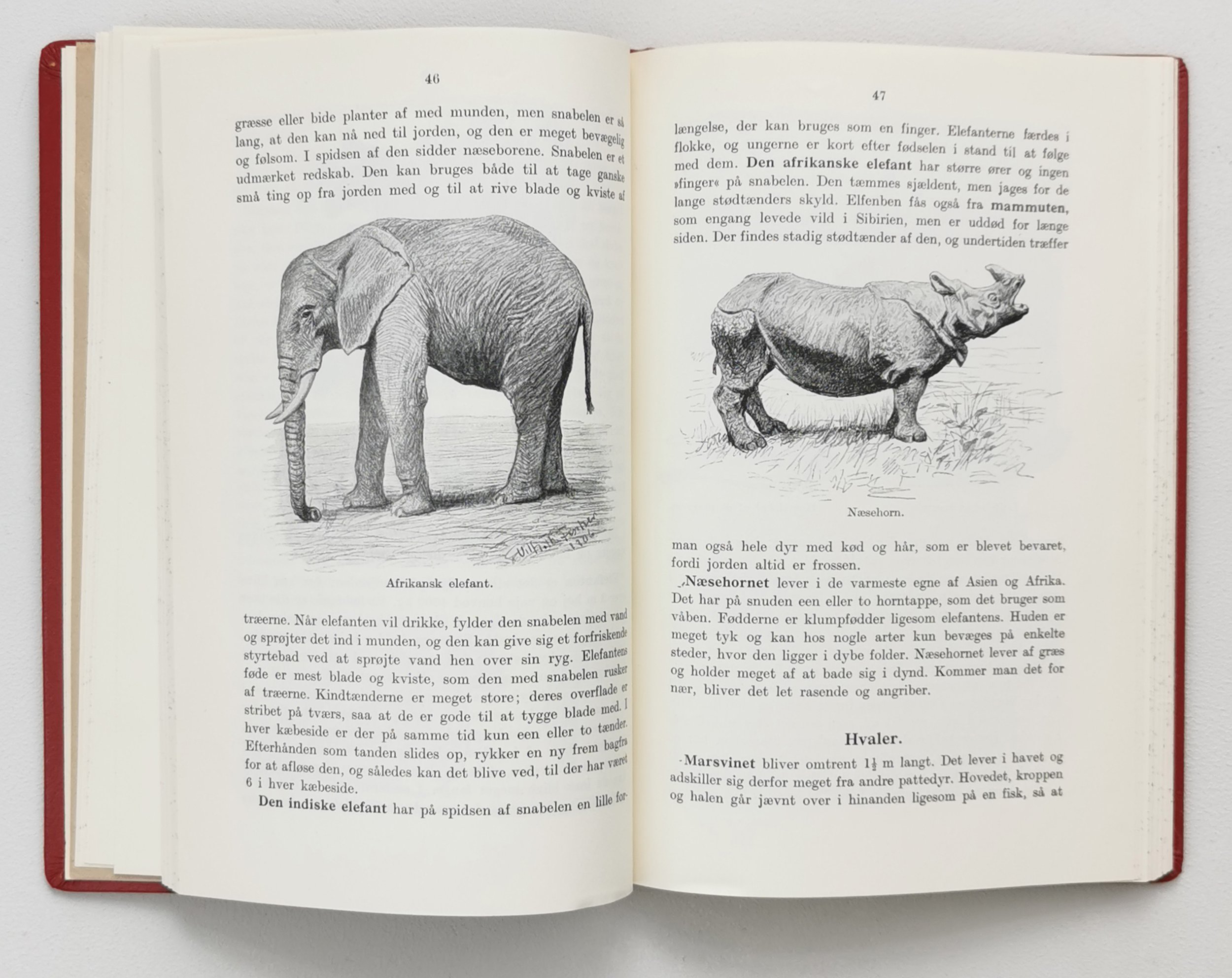 Vilh. Th. Fischer: Indisk elefant, 1897 — Skitsehandlen