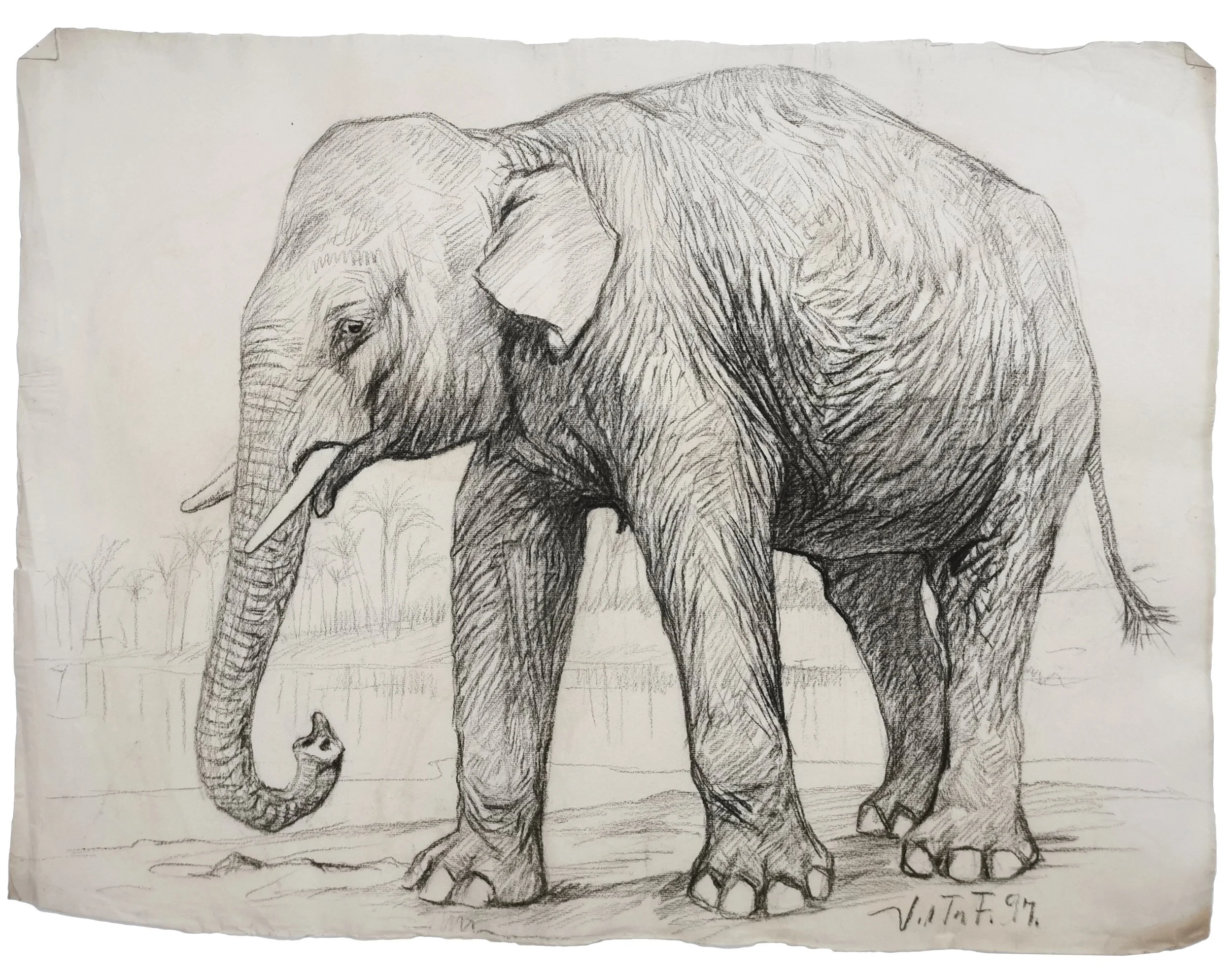Vilh. Th. Fischer: Indisk elefant, 1897 — Skitsehandlen