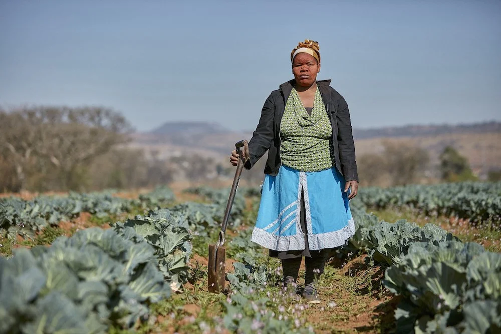 Impact — SAB Foundation