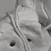 Bodies | Issue 09 | Poetry Magazine | Free the Verse