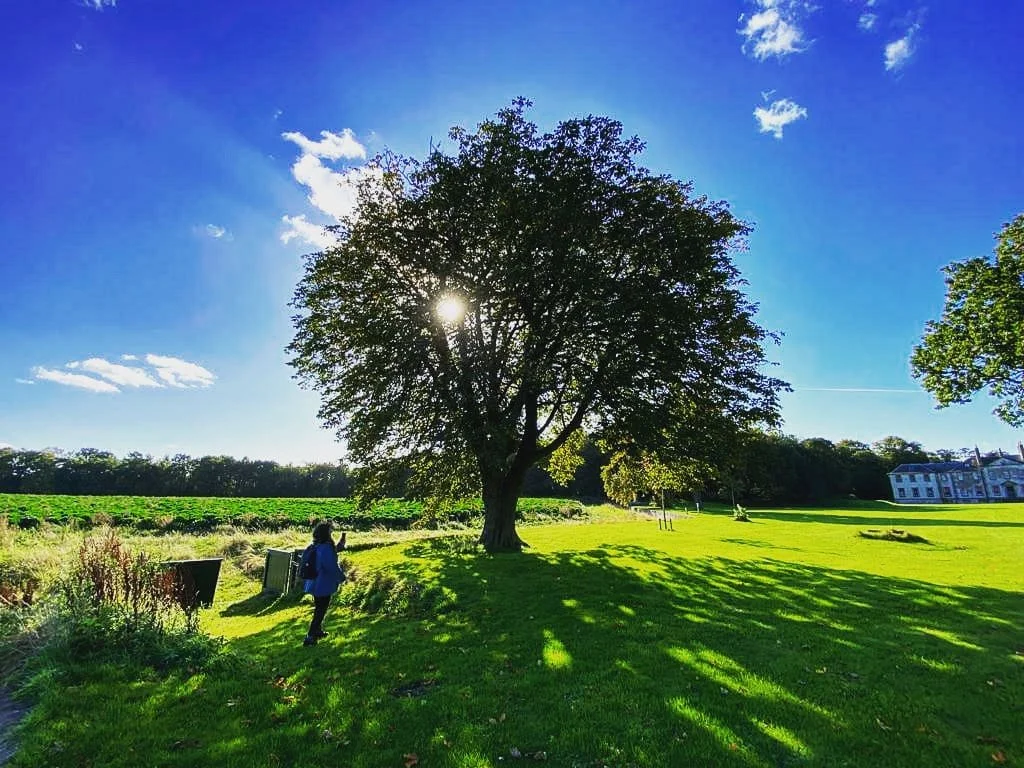 About Us — Bridges Project