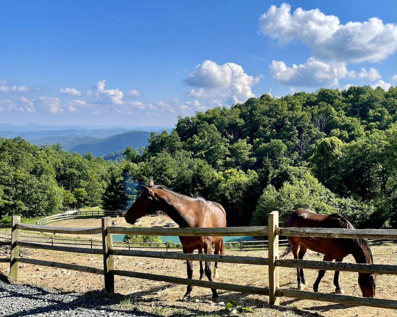 Southern Sun Farm Sanctuary