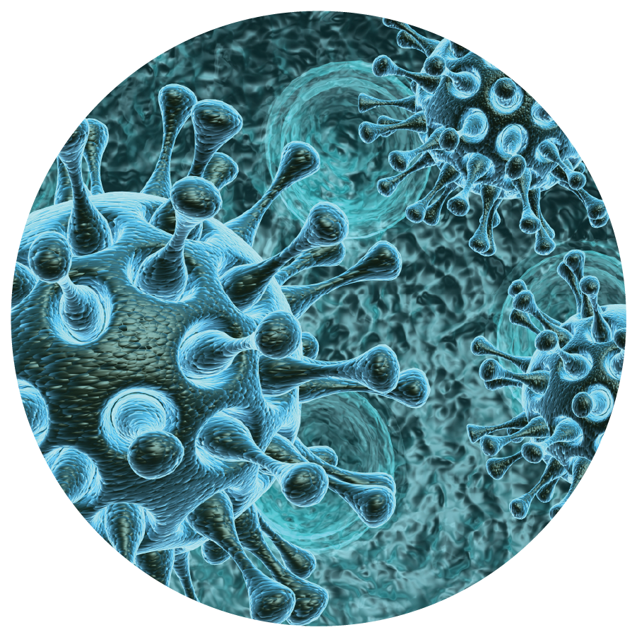 Viral and Bacterial Extraction Kit — NTL Biotech