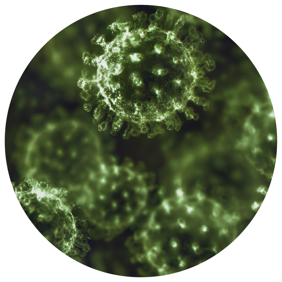 Viral and Bacterial Extraction Kit — NTL Biotech