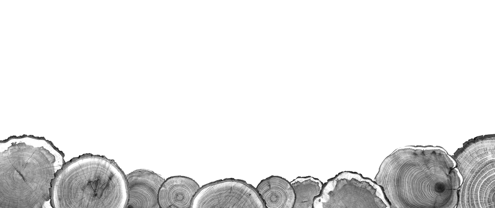 Josh Landry Chainsaw Sculpting