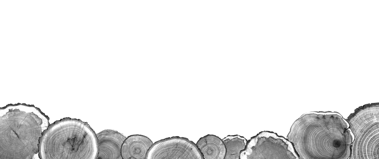 Josh Landry Chainsaw Sculpting