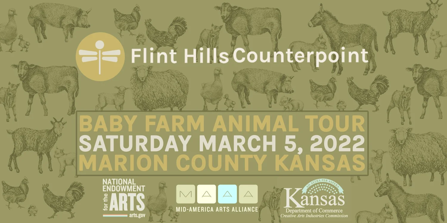 BABY FARM ANIMAL TOUR — Flint Hills Counterpoint