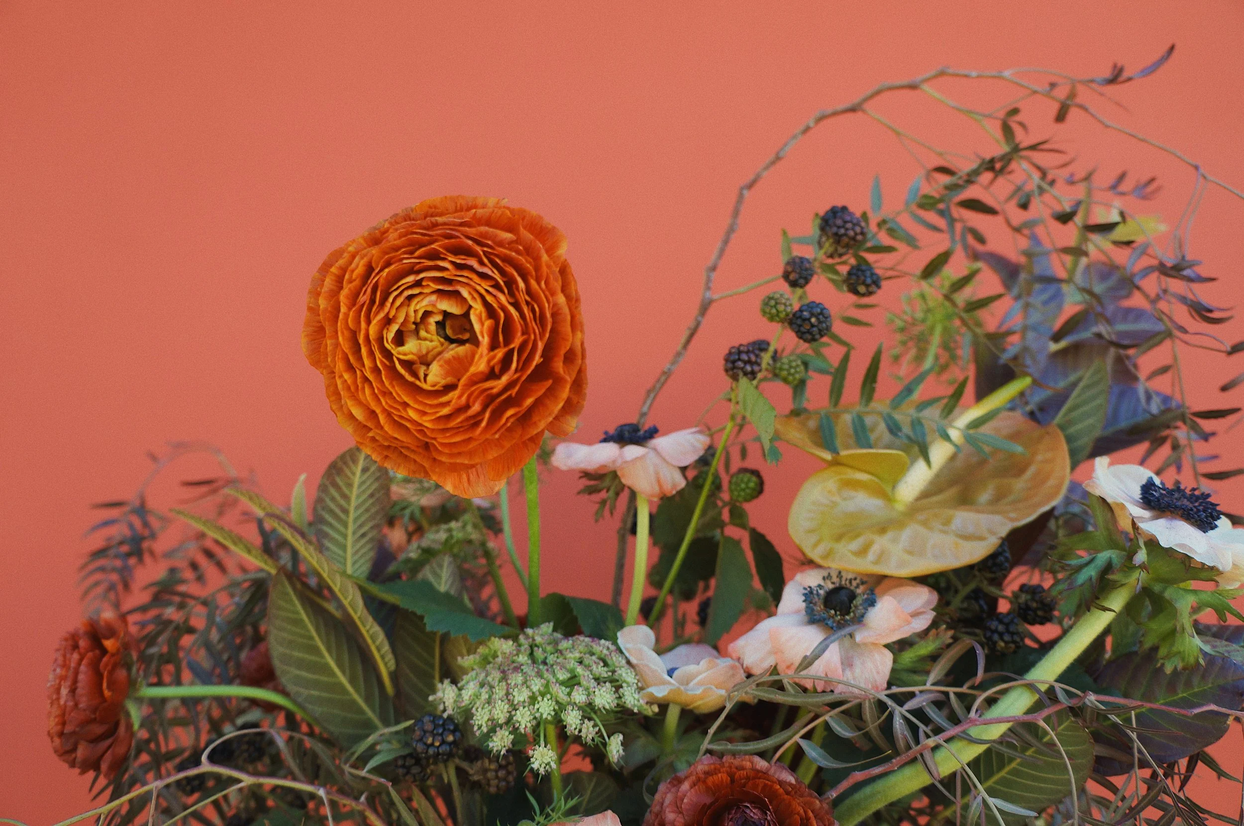 moonbloom flower club