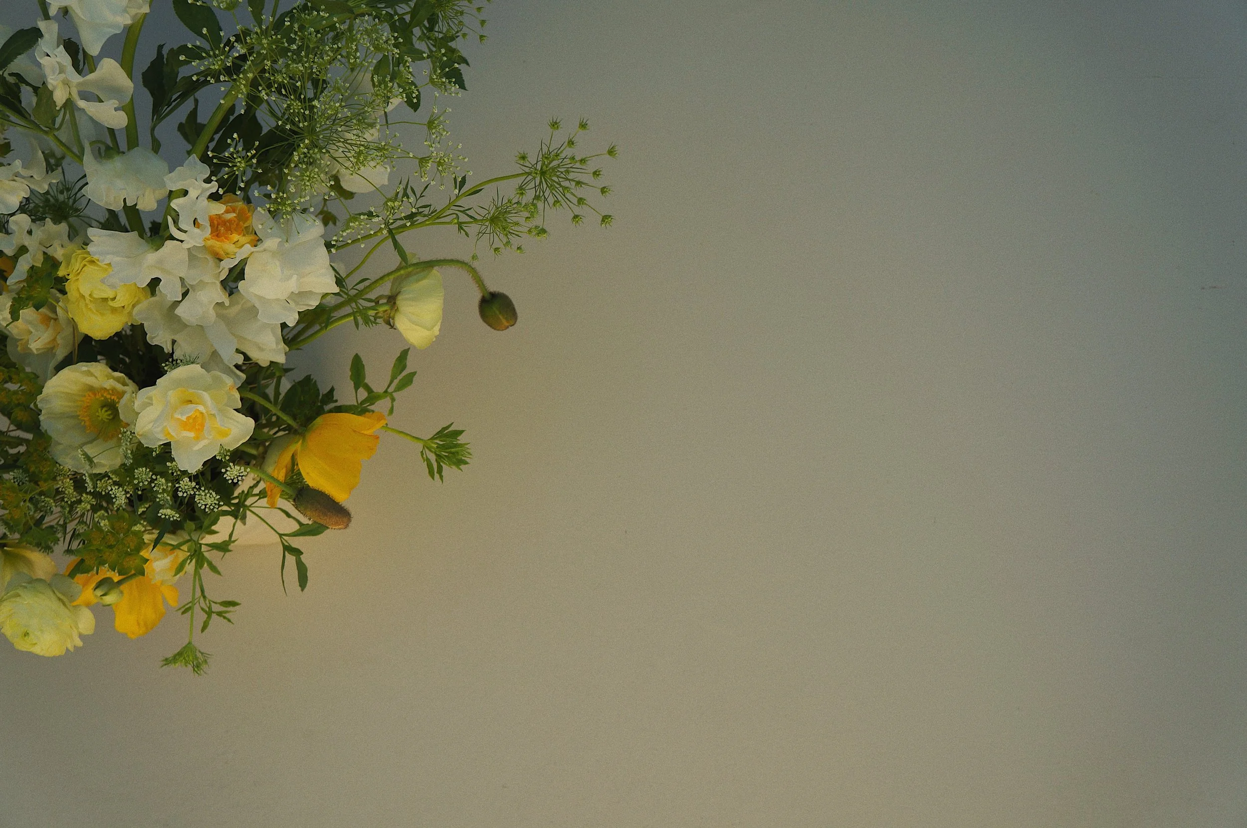 moonbloom flower club