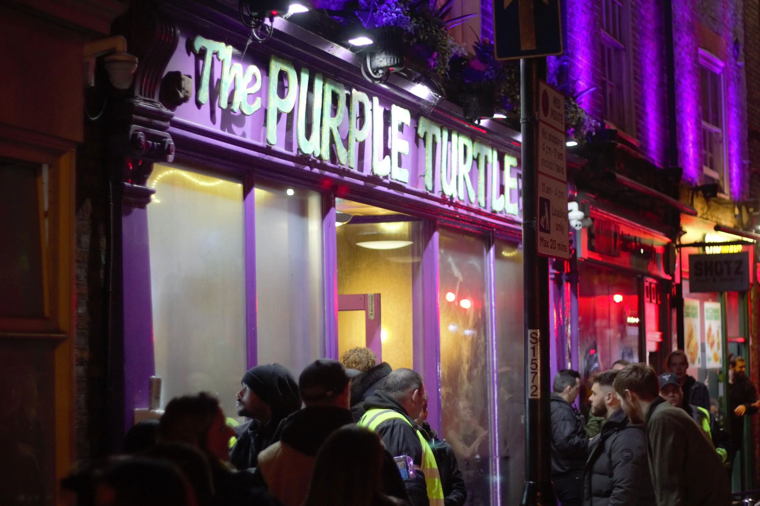 The Purple Turtle