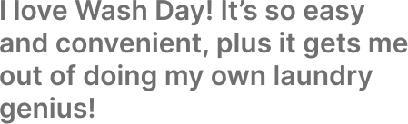 Wash Day Laundry and Dry Cleaning