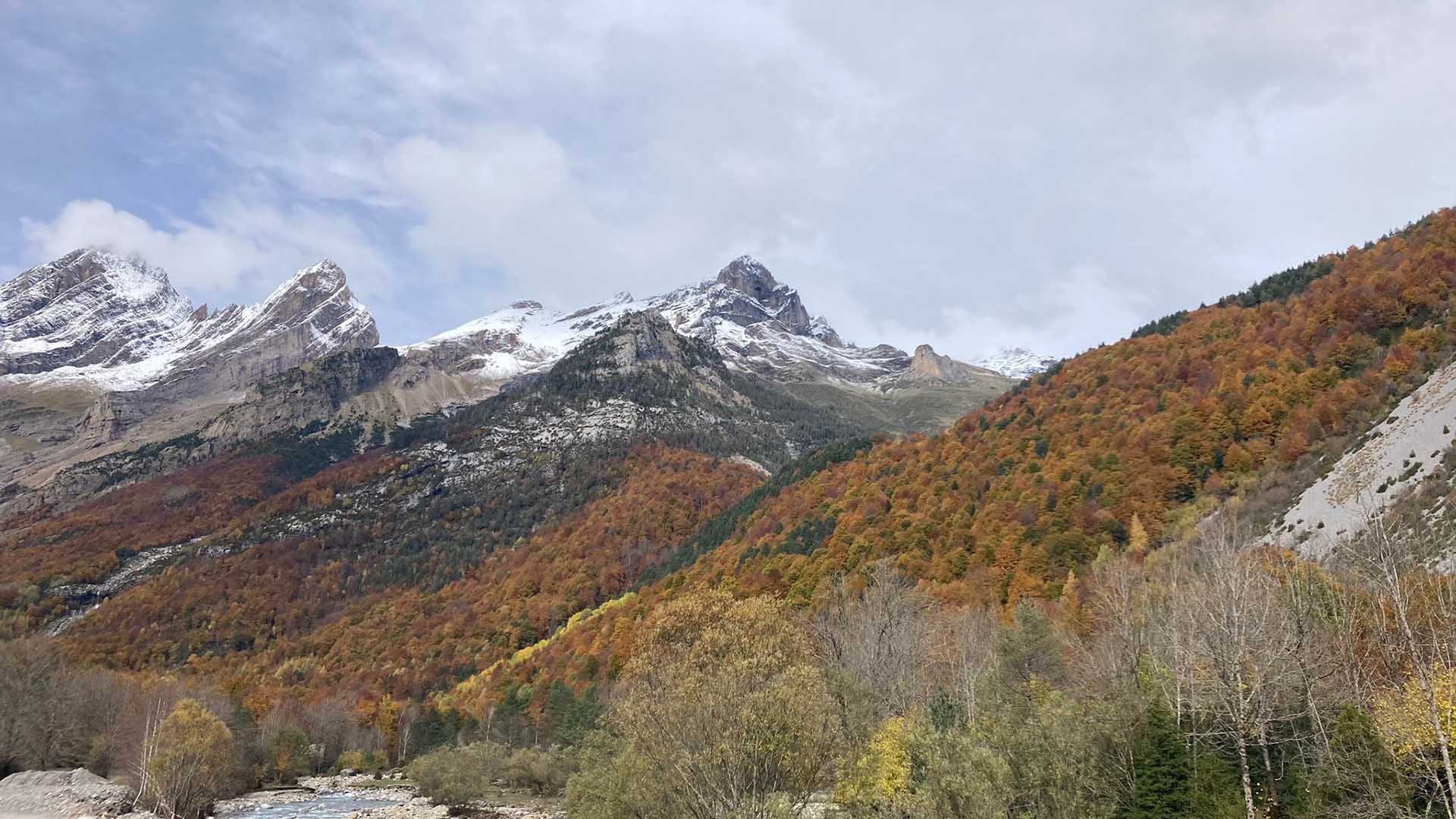 Blog 3 — Life-Centered Design School