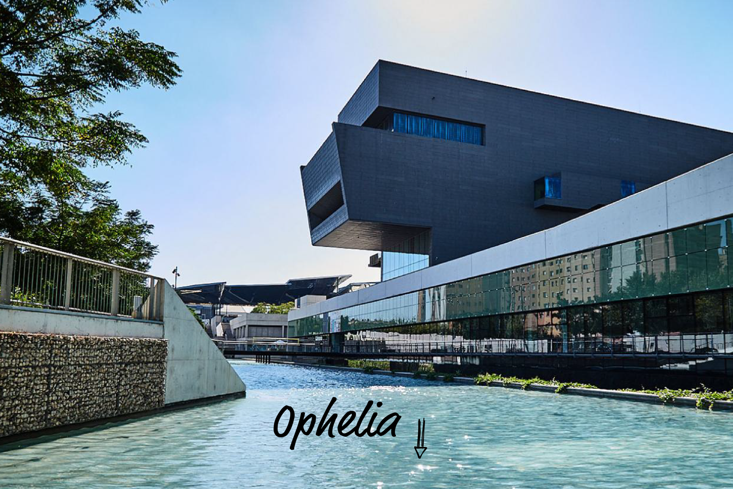 Non-Human Personas in Urban Environments. — Life-Centered Design School