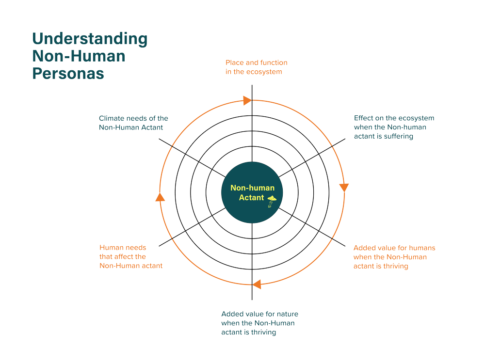 Why do we need Non-human personas? — Life-Centered Design School