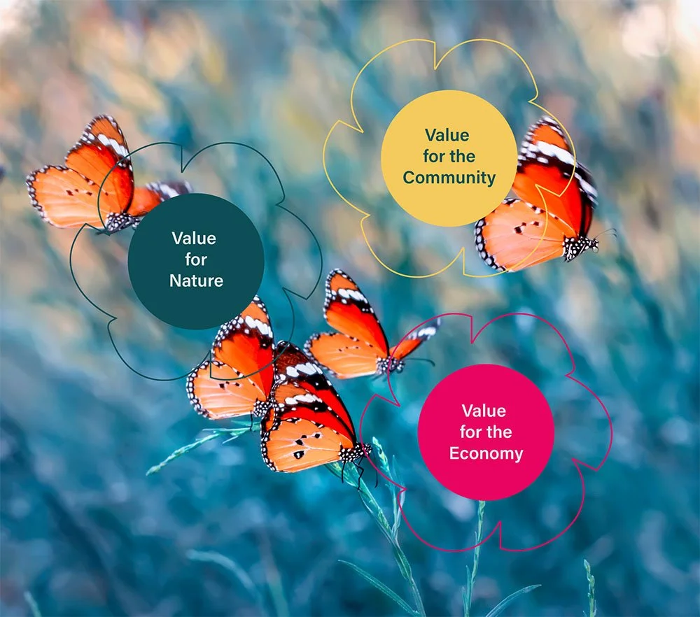 Biological Ecosystems — Life-Centered Design School