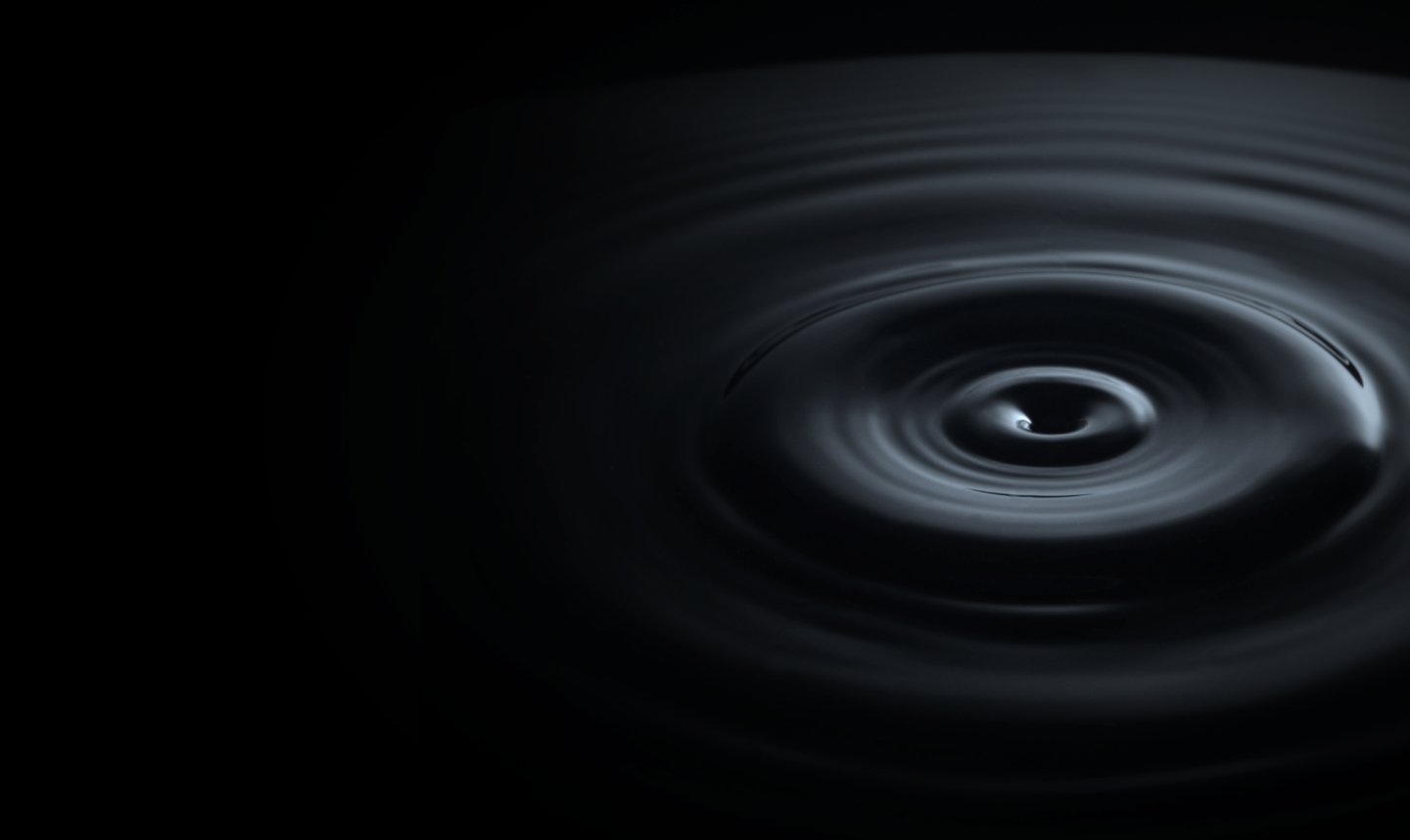 Bryan Stronach — In Your Corner