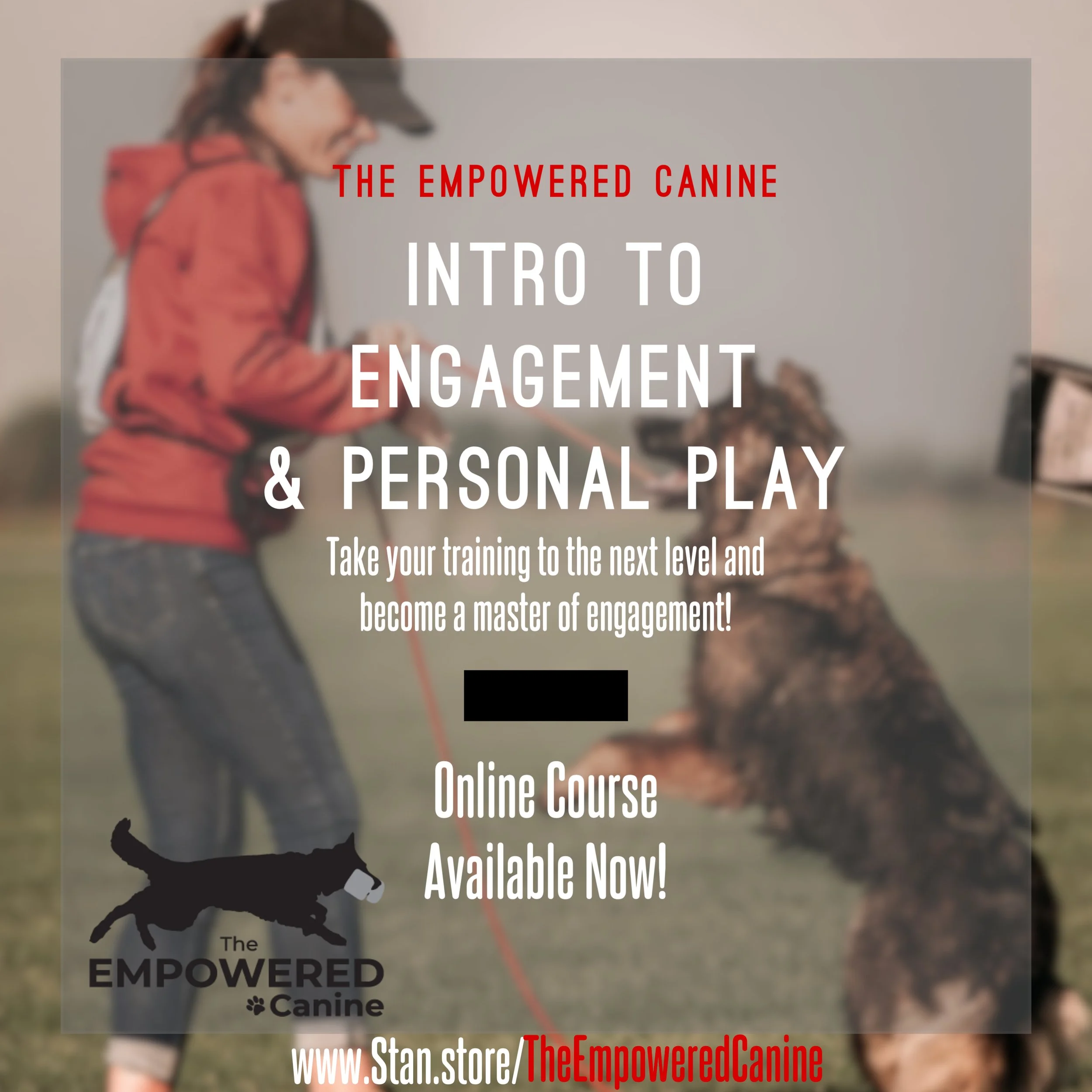 Online Courses — The Empowered Canine