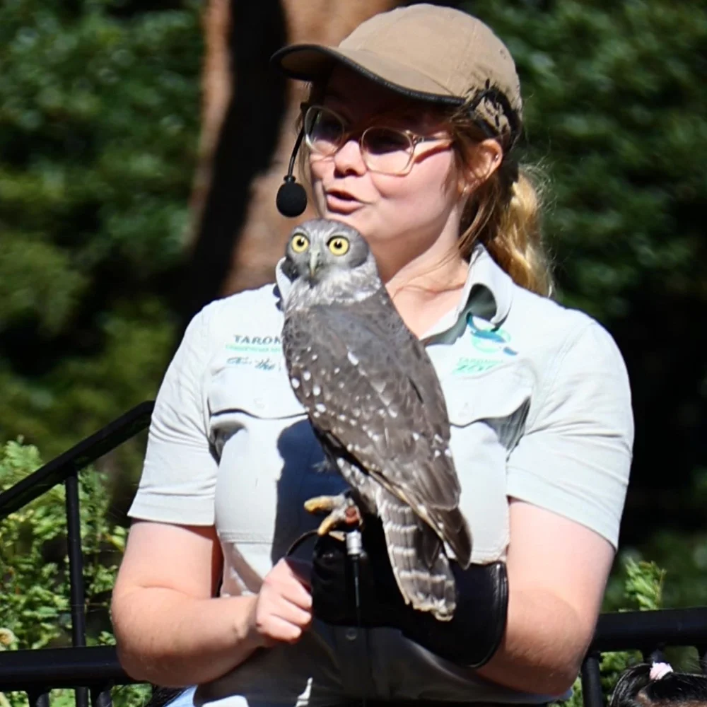 Things to see and do at Taronga Zoo — Incidentally Sydney