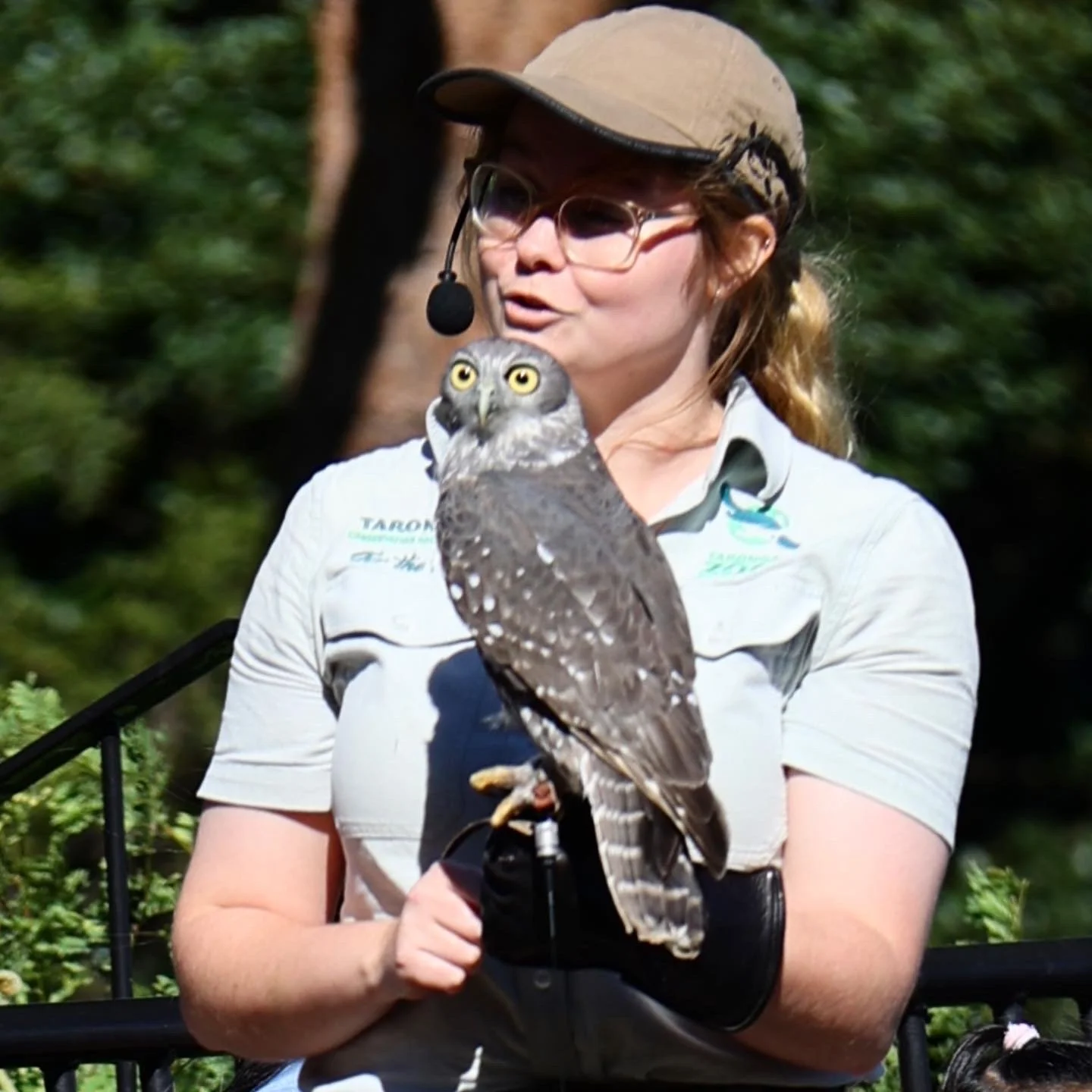 Things to see and do at Taronga Zoo — Incidentally Sydney