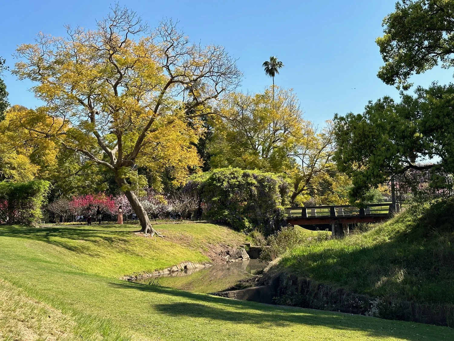 Discover the history and highlights of Parramatta Park on this walk ...
