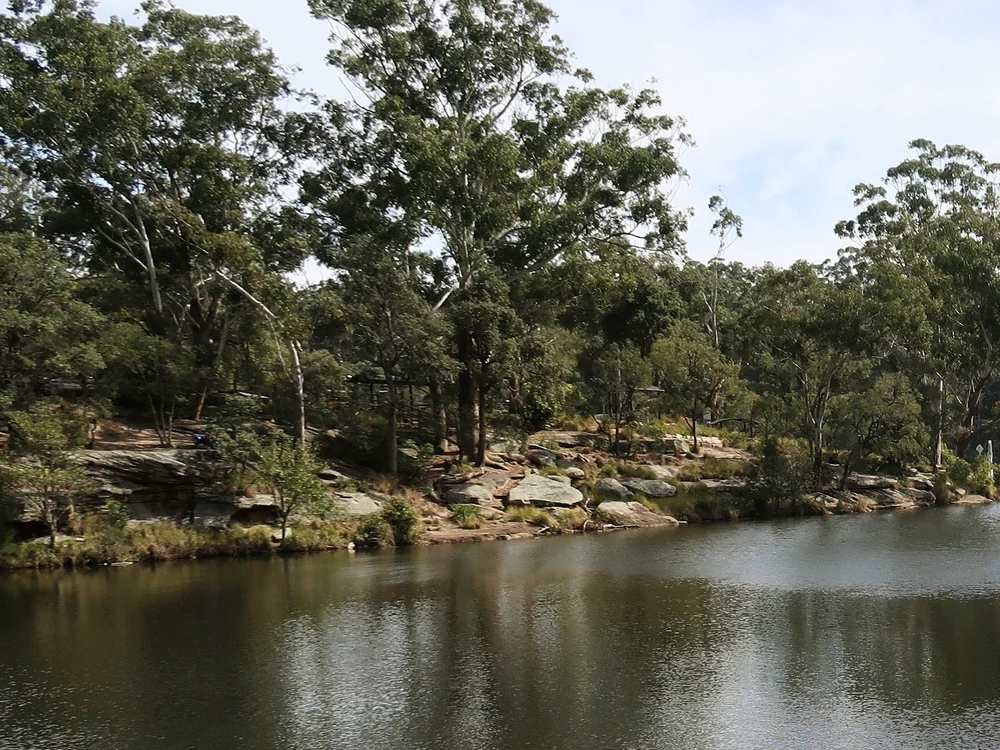 Discover the history and highlights of Parramatta Park on this walk ...
