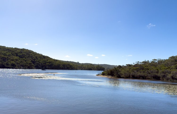 Manly Dam Trail Walk | Bushland Circuit in Sydney's north ...