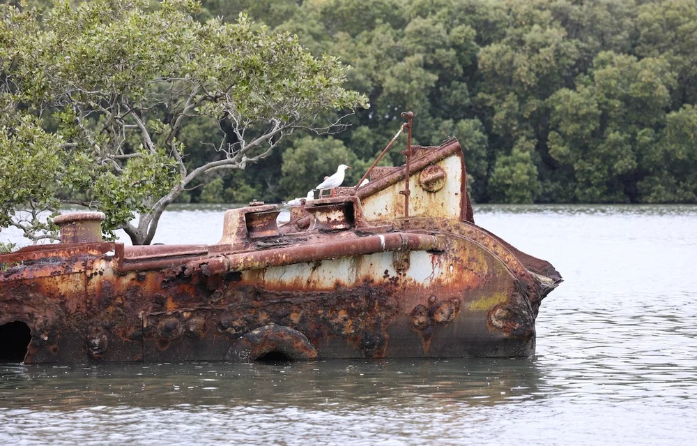Walk through the parklands, wetlands, and mangroves of Bicentennial ...