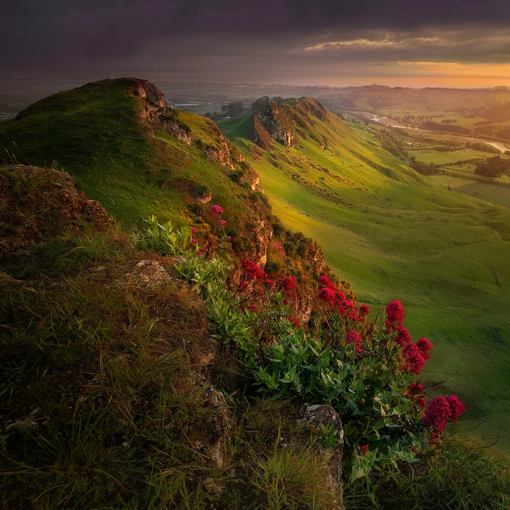 Hawke's Bay: Te Mata Peak photographs by Jos Buurmans