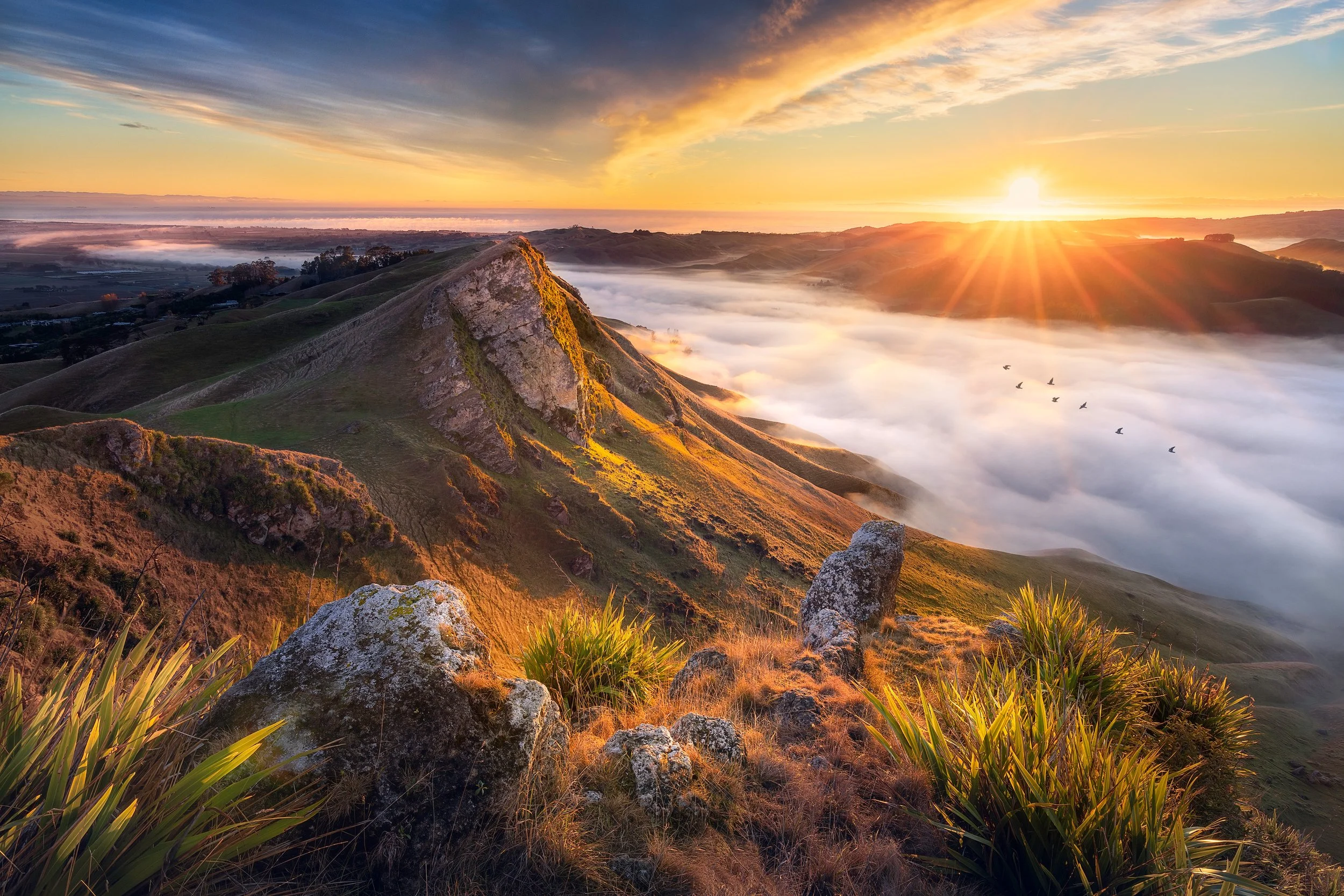 Hawke s Bay Te Mata Peak Photographs By Jos Buurmans