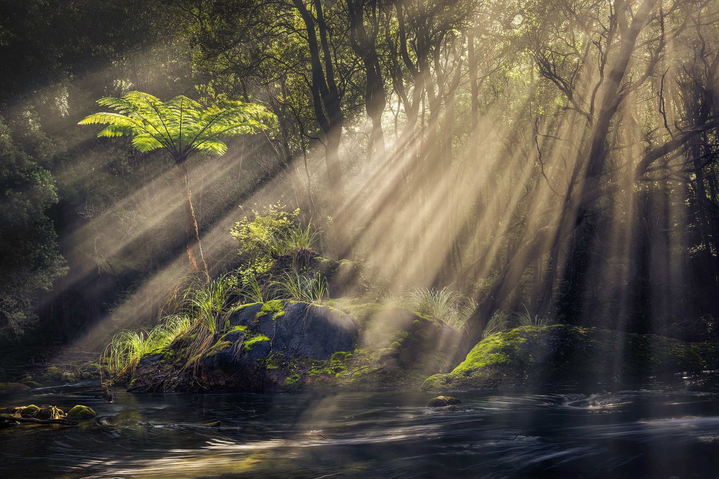 New Zealand: North Island Landscape Photographs by Jos Buurmans