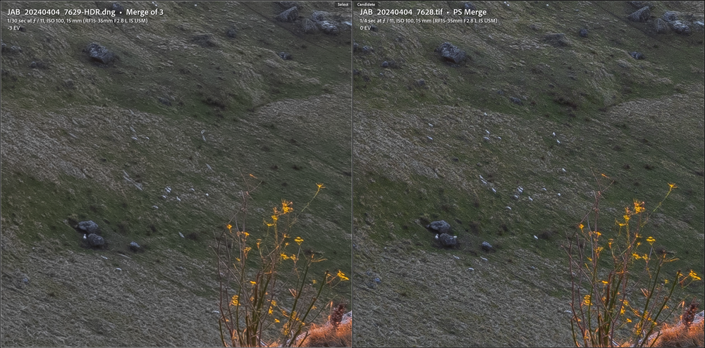 Exposure Stacking – What is it and what is the best technique to merge ...