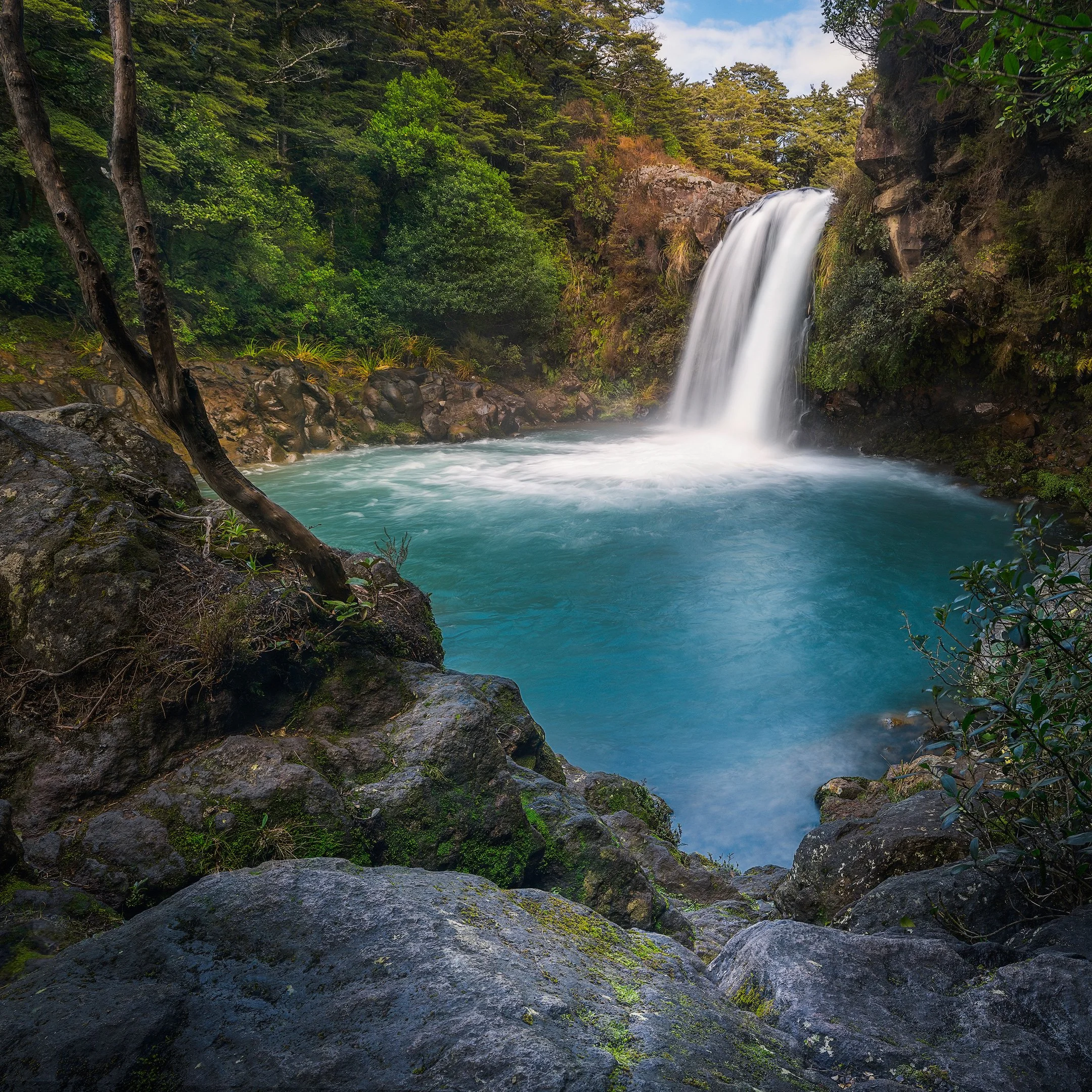 New Zealand: North Island Landscape Photographs by Jos Buurmans
