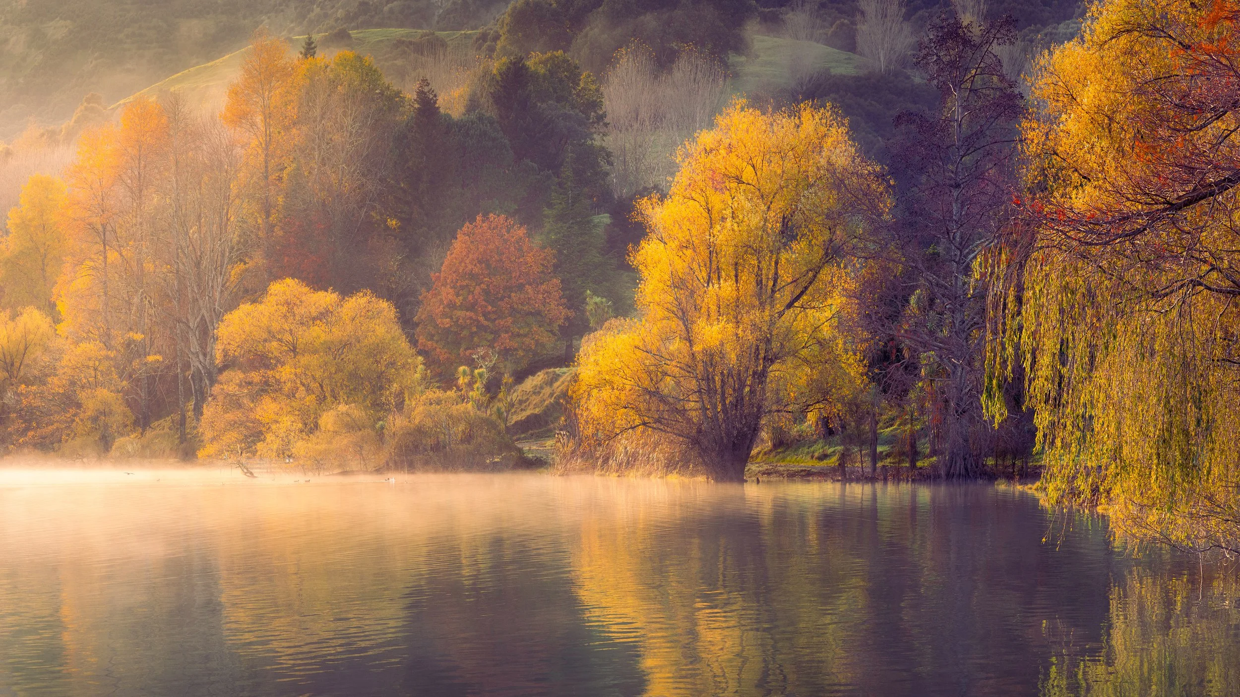 Hawke's Bay: Lake Tutira photographs by Jos Buurmans