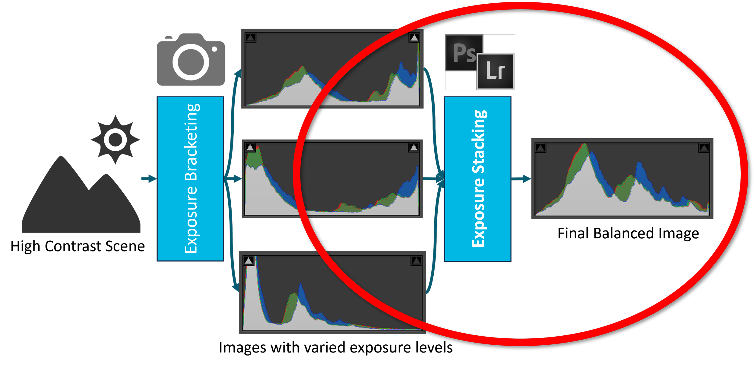 Exposure Stacking – What is it and what is the best technique to merge ...