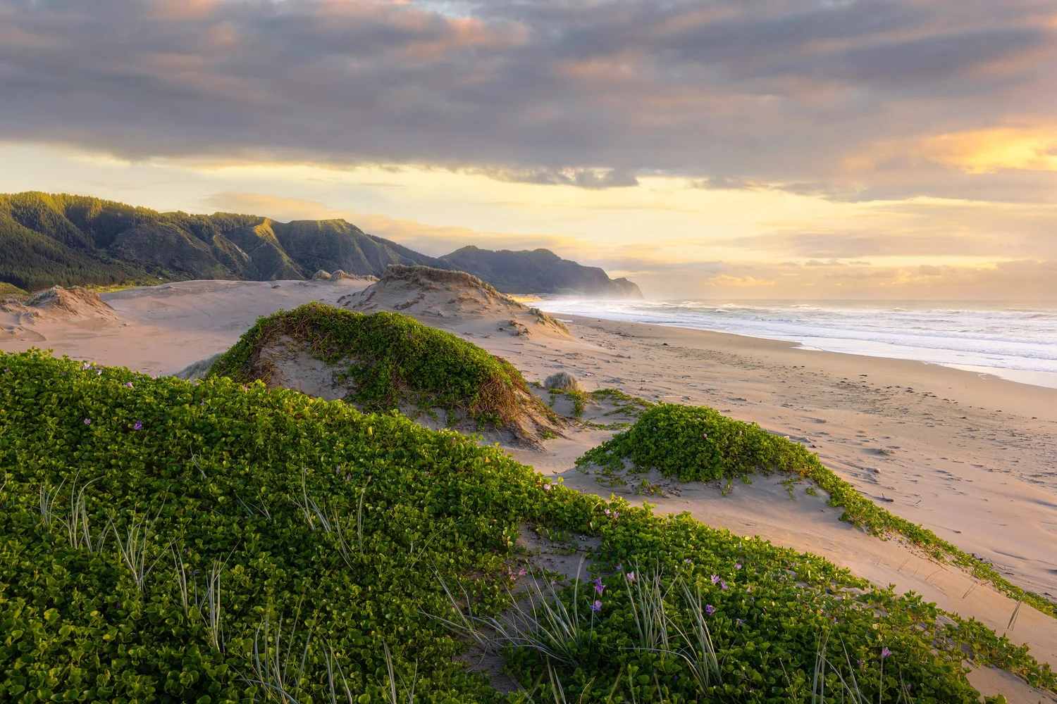 Hawke's Bay Landscape Photographs by Jos Buurmans