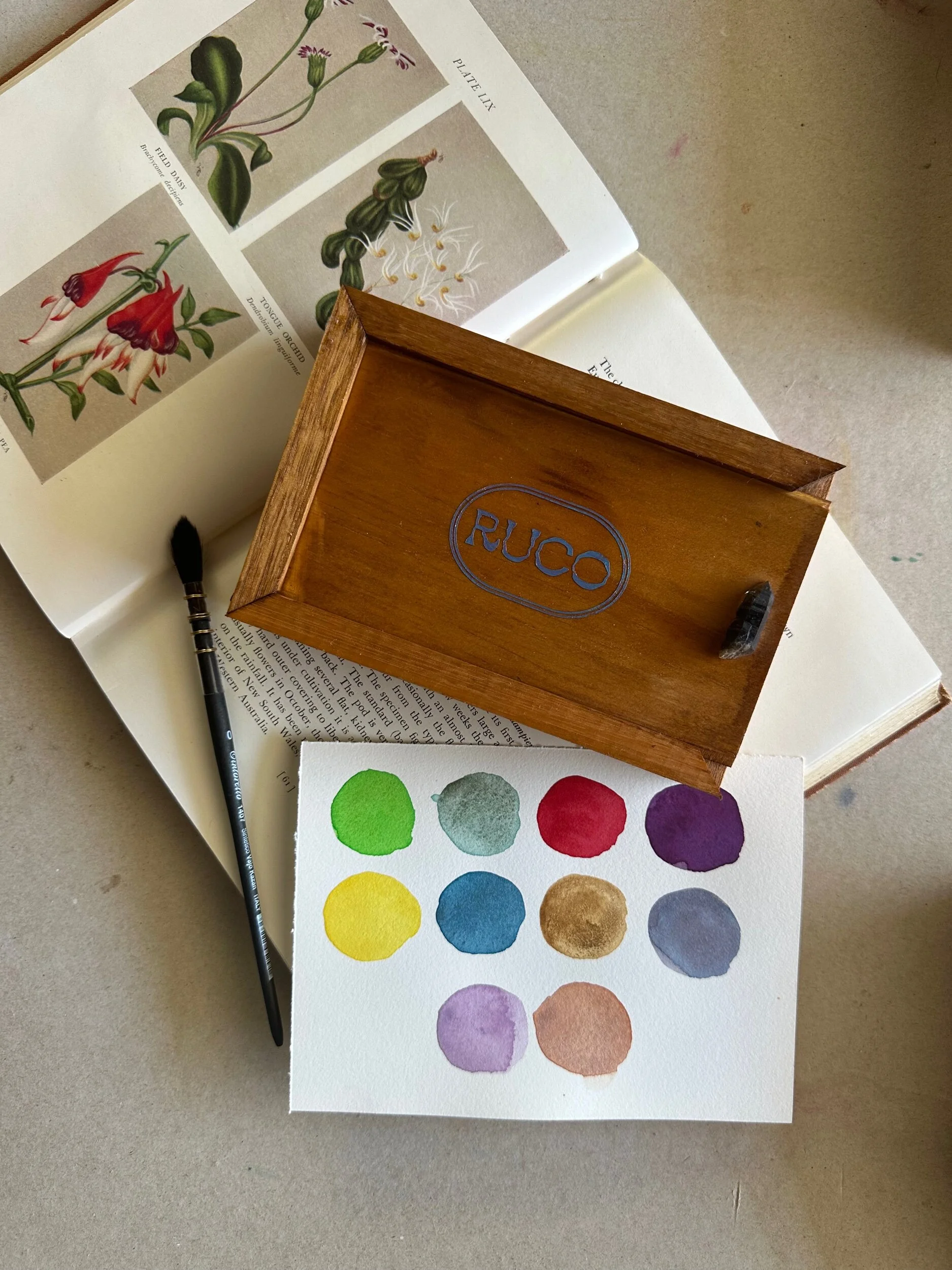 Store — Ruco Paints