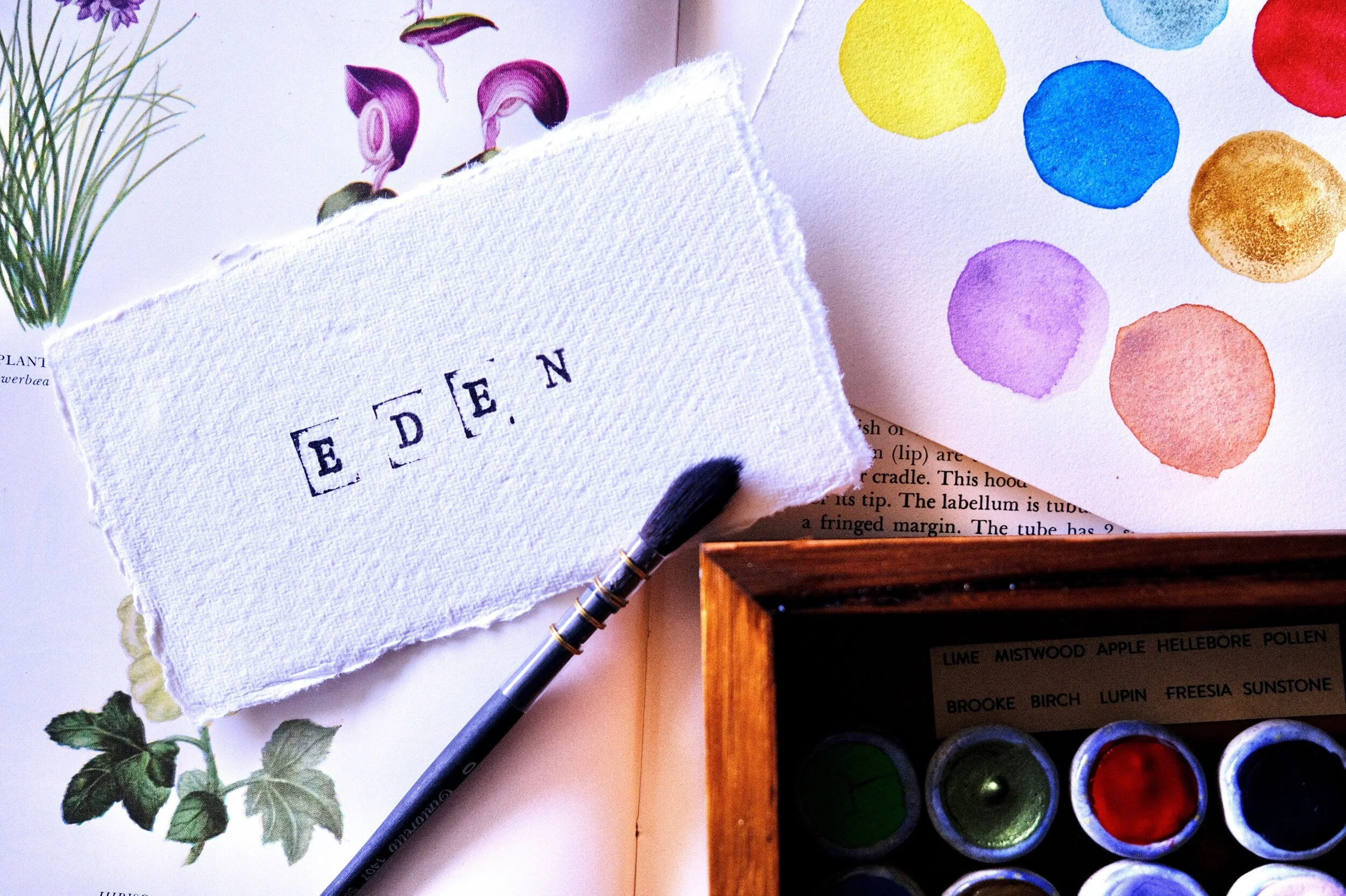 Store — Ruco Paints