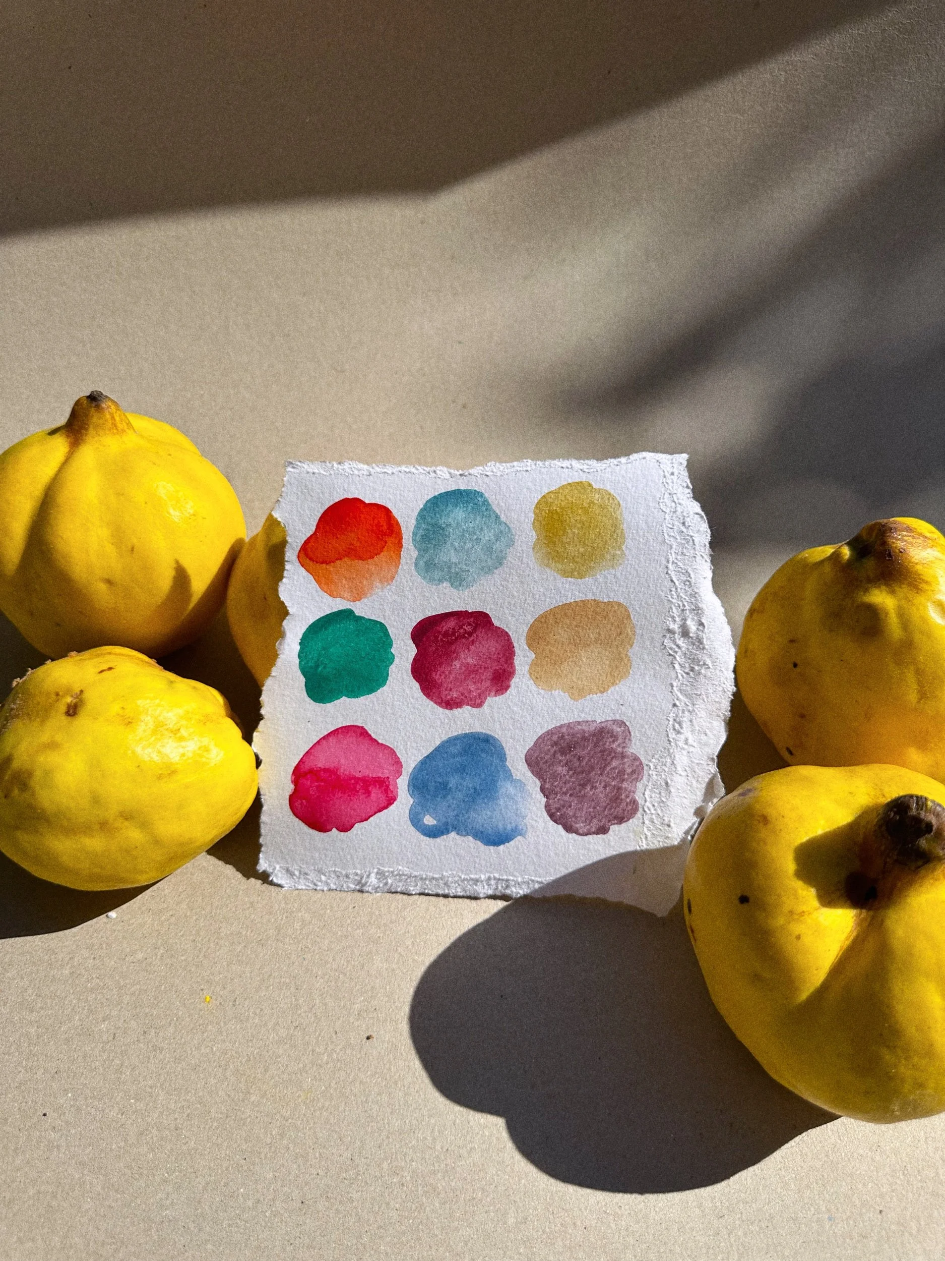 Store — Ruco Paints