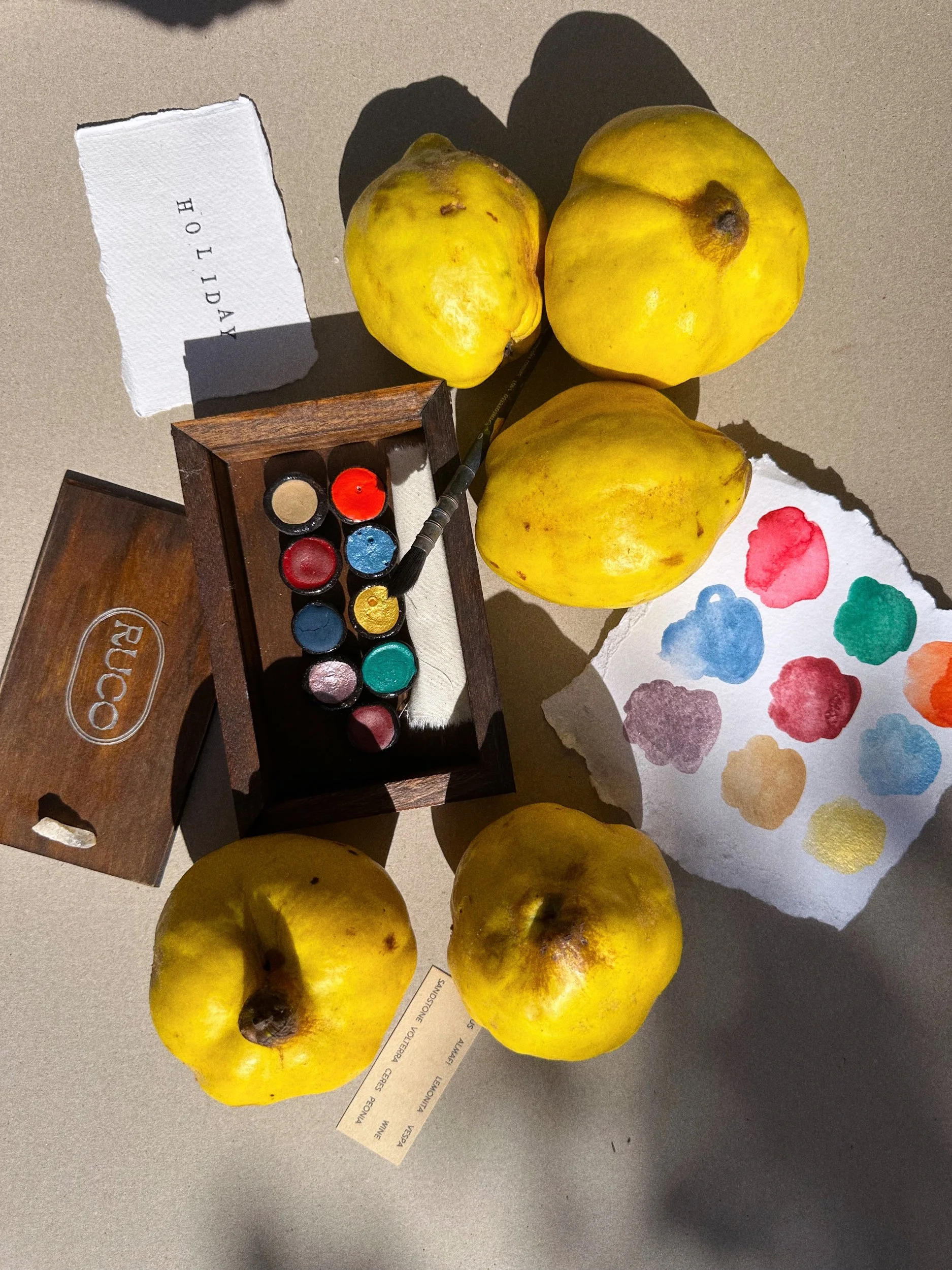 Store — Ruco Paints