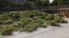 Prescot Market Place — Studio Tashima