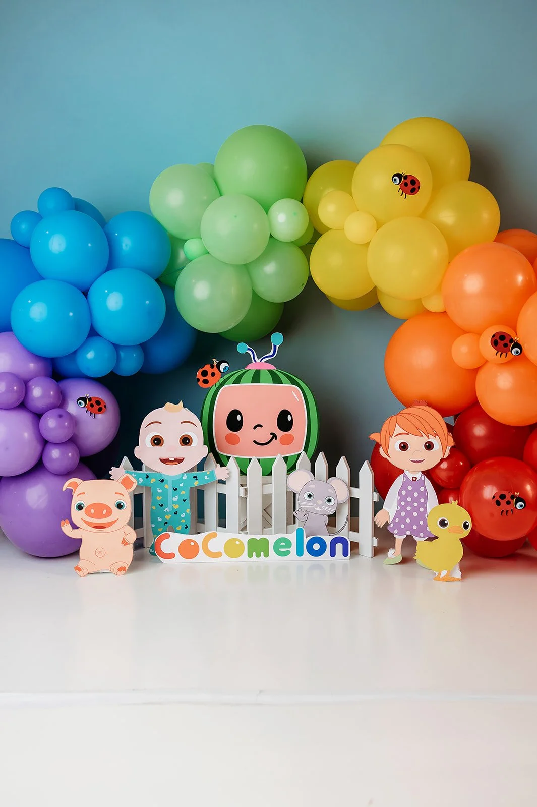 Cocomelon Custom Backdrop from The Heart Narrative