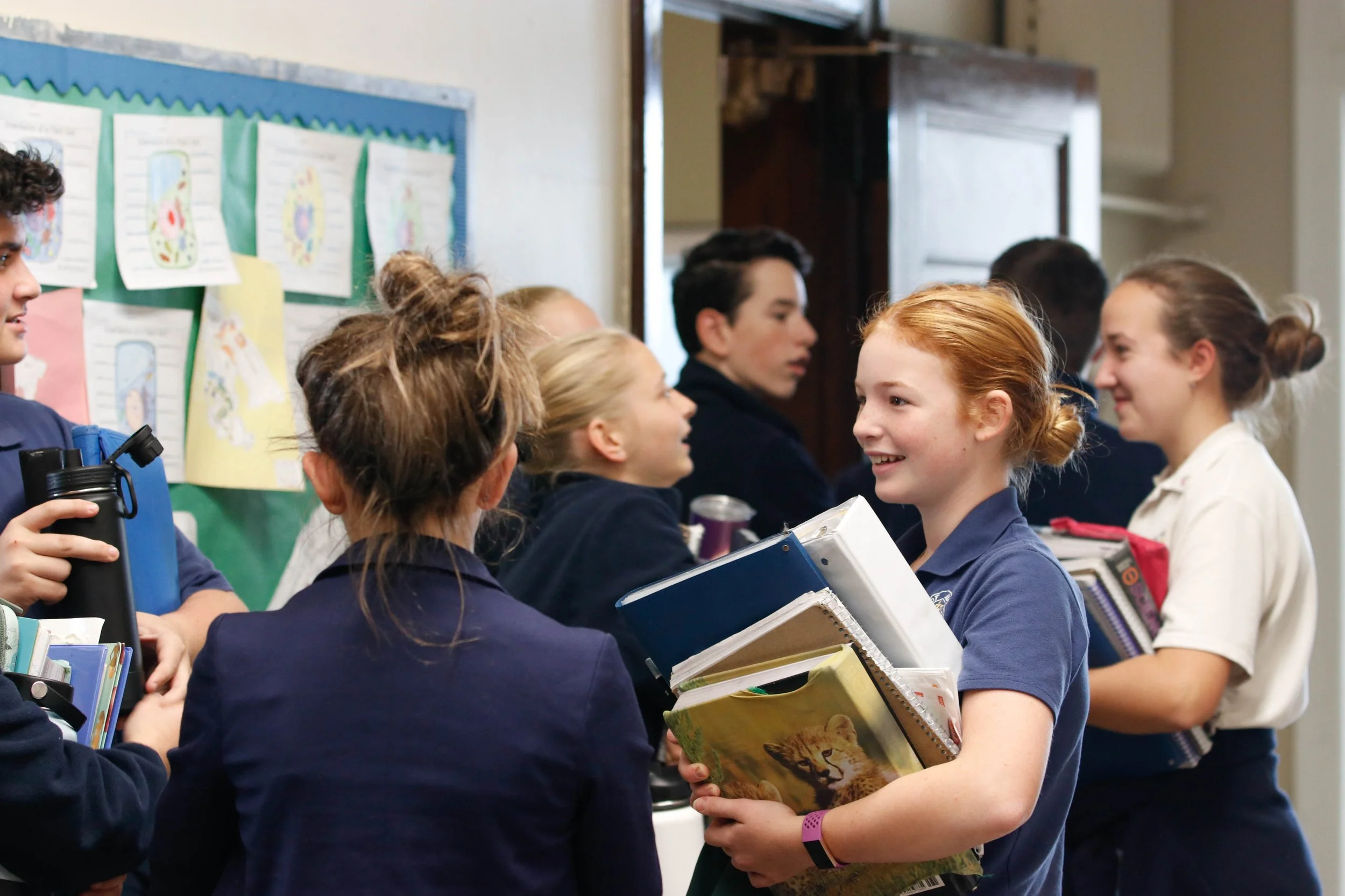 Videos & Select Media — Our Lady of Mount Carmel School