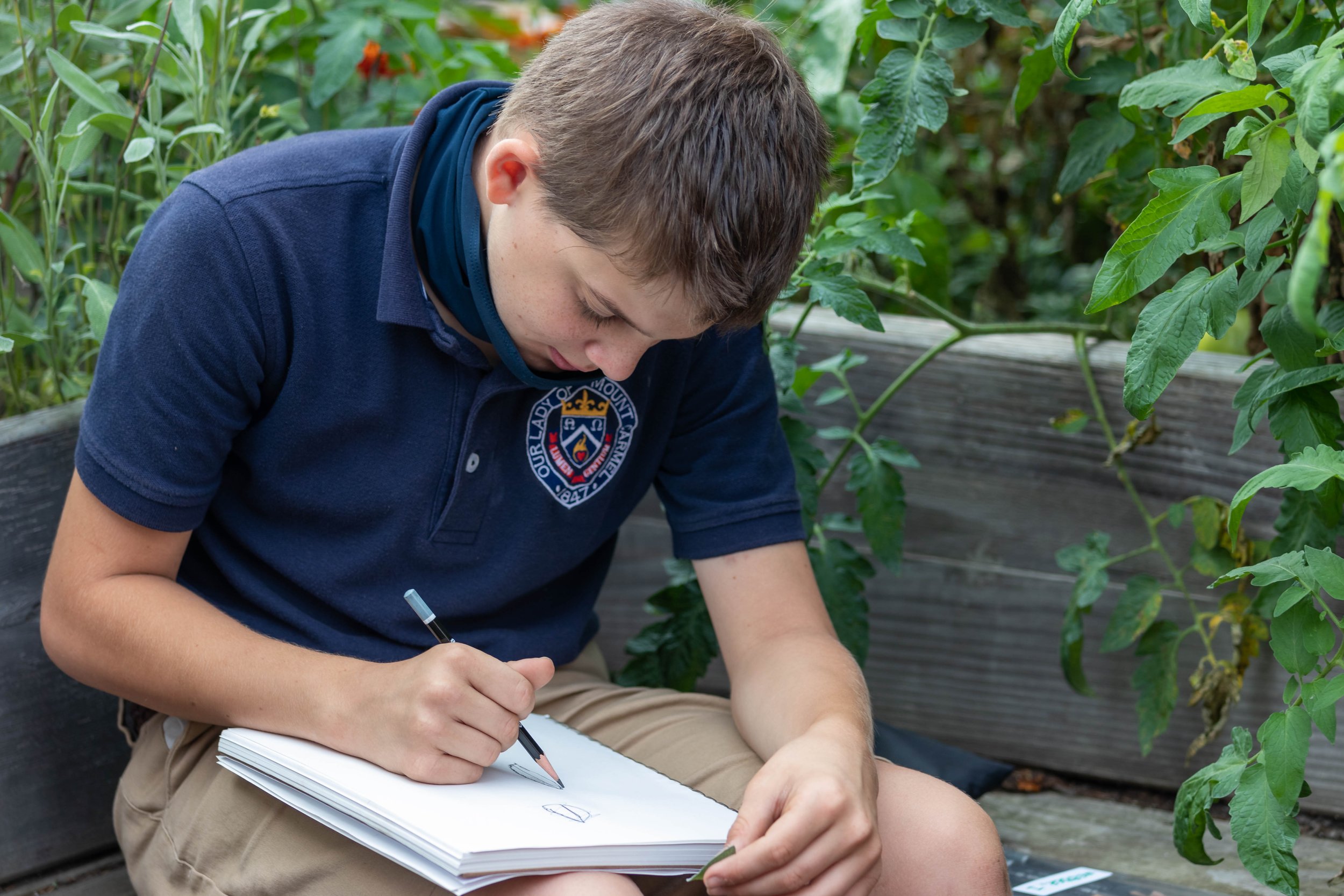 OLMC Parent Portal — Our Lady of Mount Carmel School