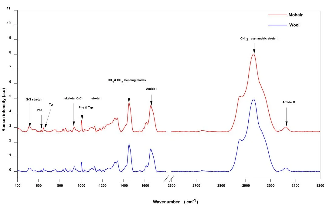 The Application of Raman Spectroscopy for Distinguishing Between Mohair ...