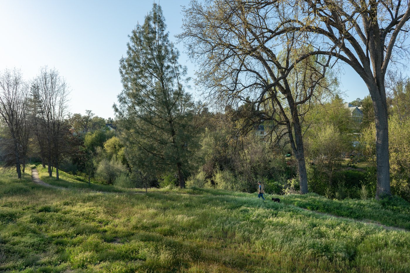 Observation Checklist — Oakhurst River Parkway