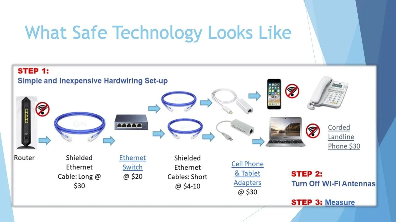 What Does Safe Technology Look Like — IDAHOANS FOR SAFE TECHNOLOGY