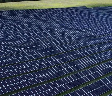 Energy Boondoggle — Central Farm Markets